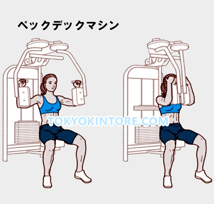 ペクトラルフライマシンの使い方 やり方やフォームの動画と解説 東京筋トレ
